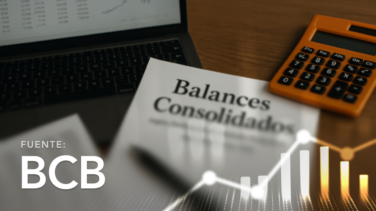 Consolidated Balances - DATAX